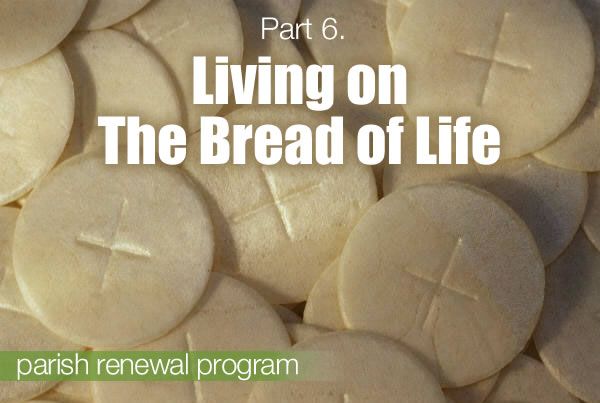 Part 6: Living on The Bread of Life | The Divine Mercy