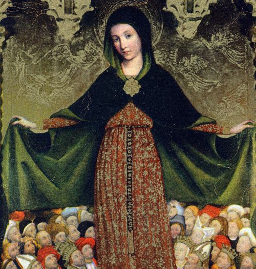 Mary and Her Role in God's Merciful Plan | The Divine Mercy
