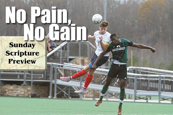 No Pain, No Gain | The Divine Mercy