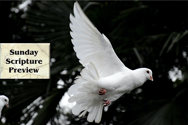 Seeing by the Light of the Holy Spirit | The Divine Mercy