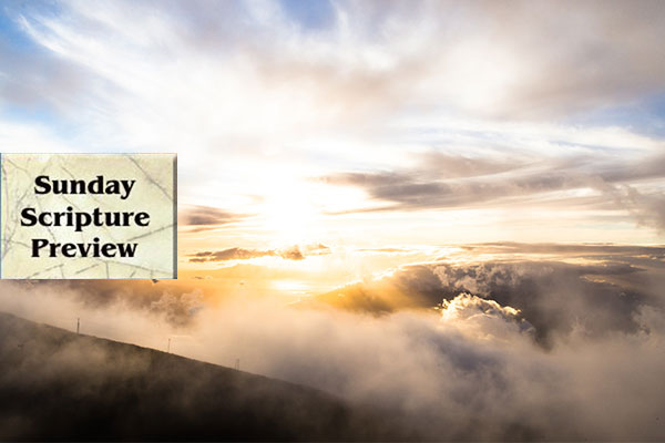 A Taste of Glory | The Divine Mercy