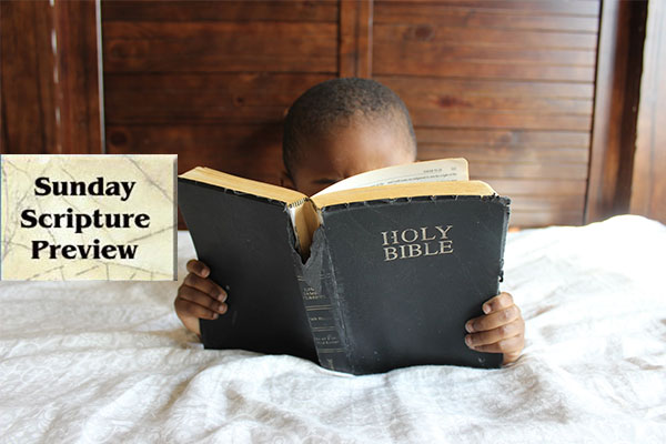 A Little Faith Goes a Long Way. | The Divine Mercy