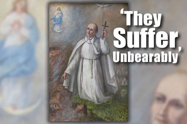 'They Suffer Unbearably' | The Divine Mercy